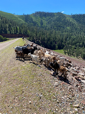 Newsroom | Bureau of Reclamation