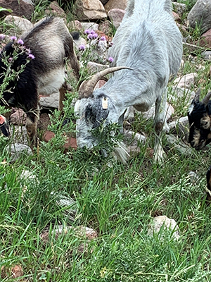 Newsroom | Bureau of Reclamation