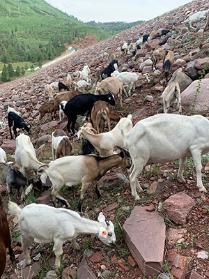 Newsroom | Bureau of Reclamation