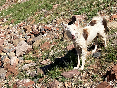 Newsroom | Bureau of Reclamation