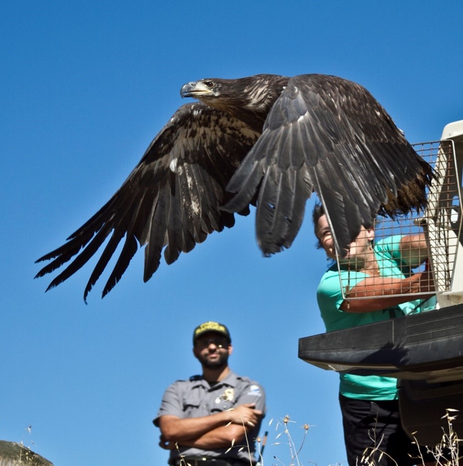 Newsroom | Bureau of Reclamation